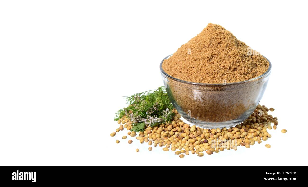 Coriander seeds, Fresh Coriander and Powdered coriander isolated on ...