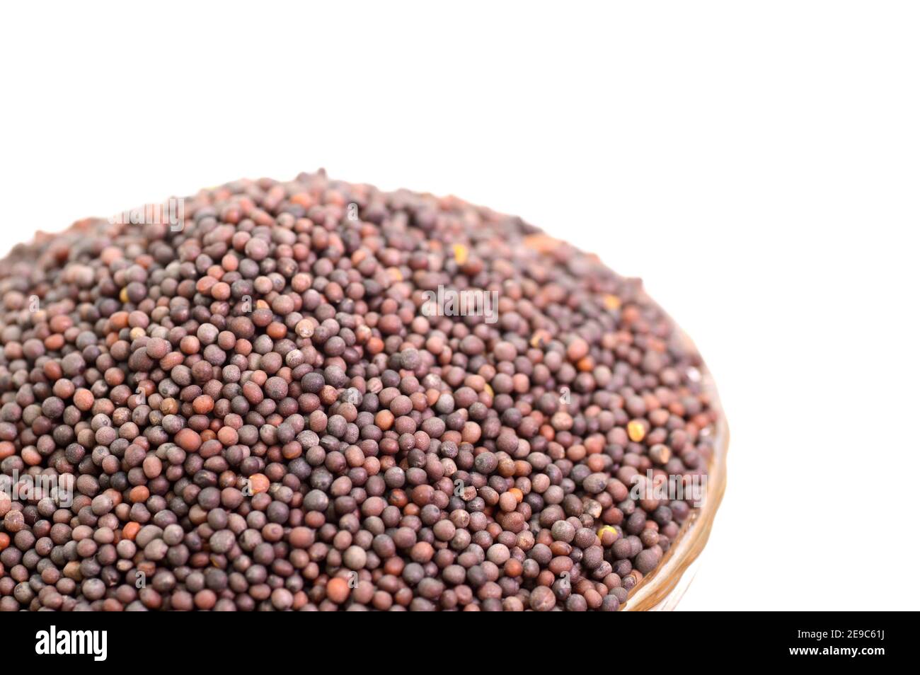 Indian mustard hi-res stock photography and images - Alamy