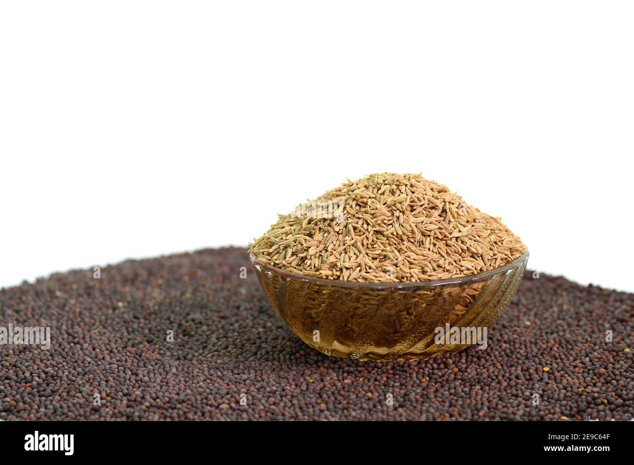 Mustard oil seeds hi-res stock photography and images - Alamy