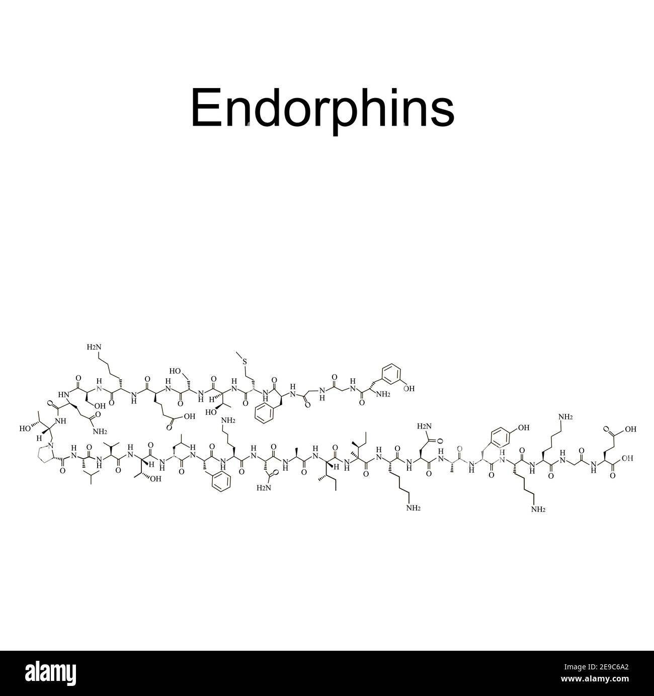 Endorphins hormone. Mood hormone endorphins molecular chemical formula ...