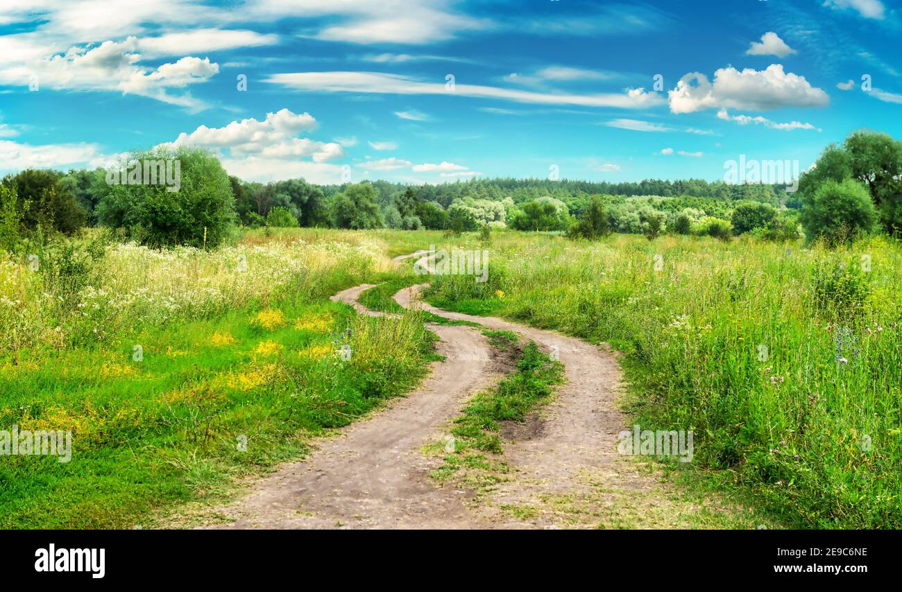Sunny country lane hi-res stock photography and images - Alamy