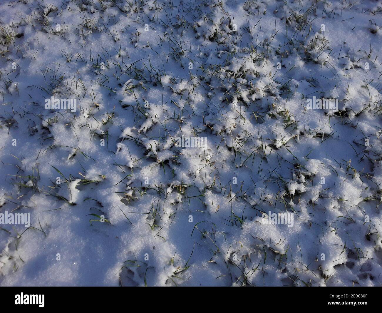 Snow on ground texture hi-res stock photography and images - Alamy