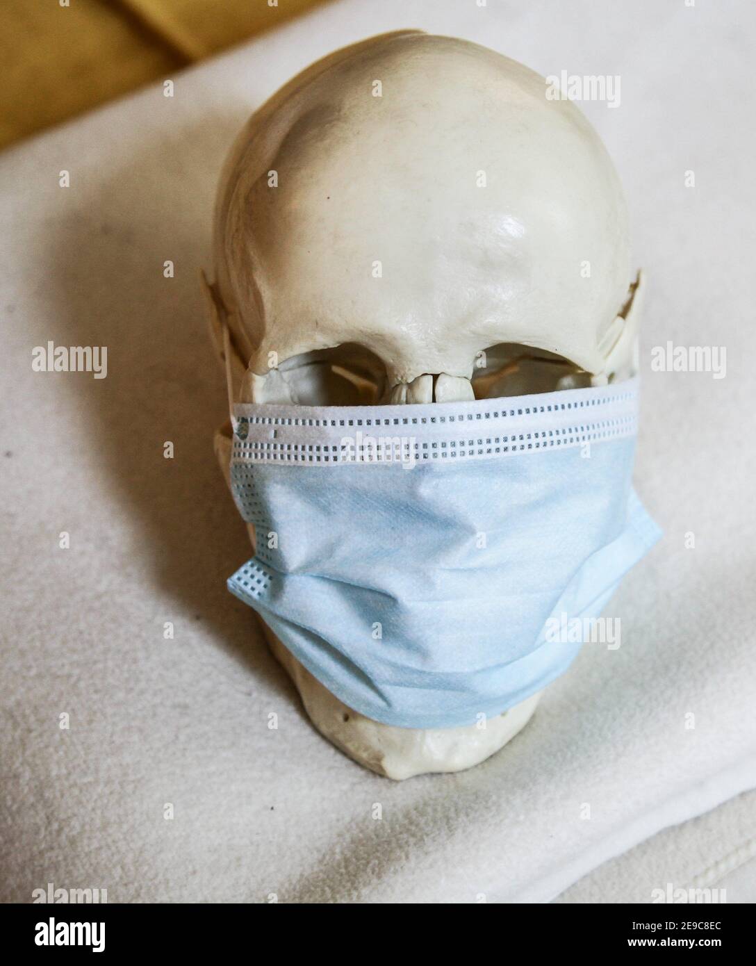 Skull mask covid hi-res stock photography and images - Alamy