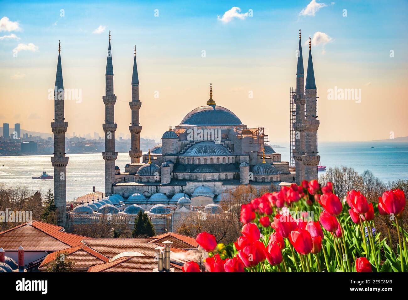 Tulip mosque istanbul hi-res stock photography and images - Alamy