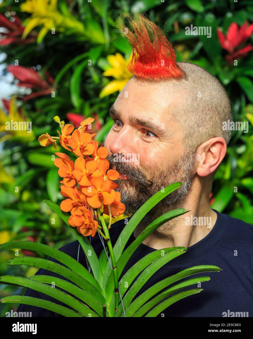 Henck roling hi-res stock photography and images - Alamy