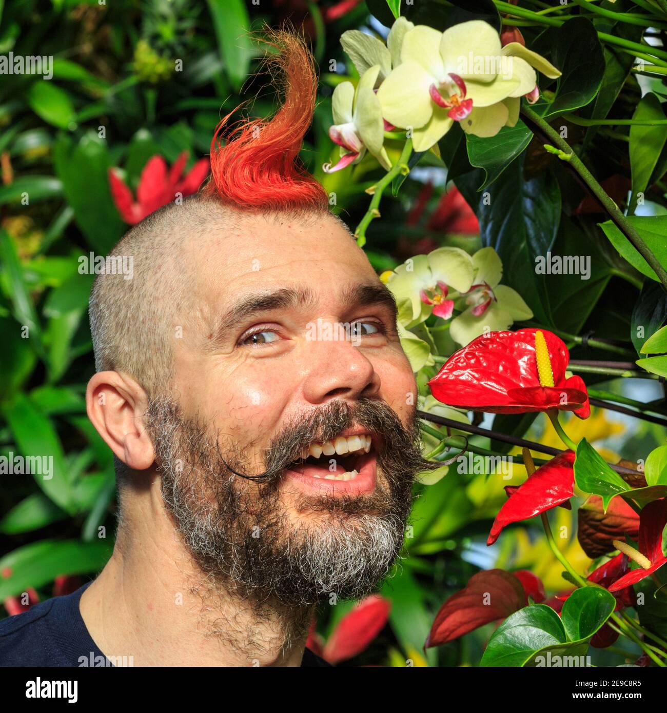 Roling hi-res stock photography and images - Alamy