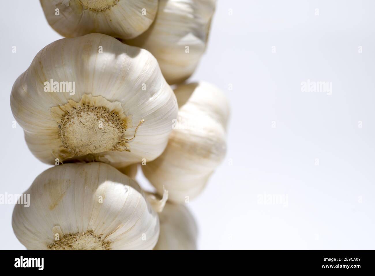 Garlic Bulb on White Background Stock Photo - Alamy