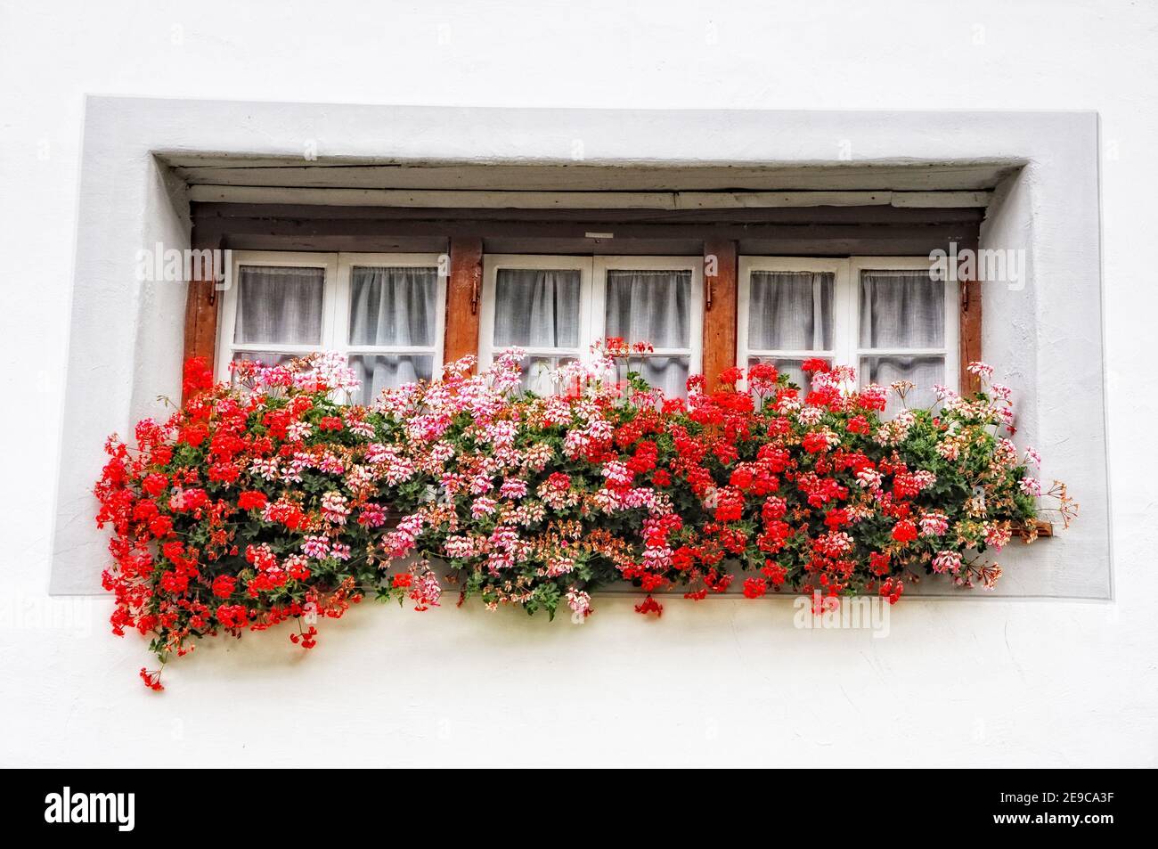 Old window with flowers hi-res stock photography and images - Alamy