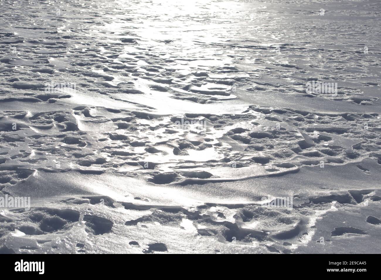 Sunbathe reflection hi-res stock photography and images - Alamy