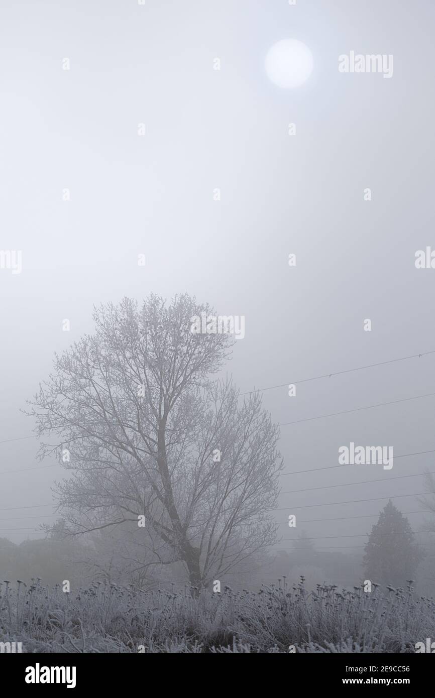 Fog rime hi-res stock photography and images - Alamy