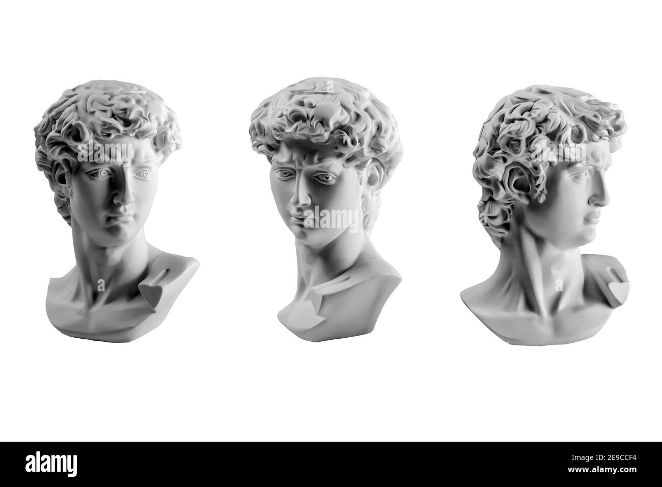 Gypsum statue of David's head. Michelangelo's David statue plaster copy isolated on white ...