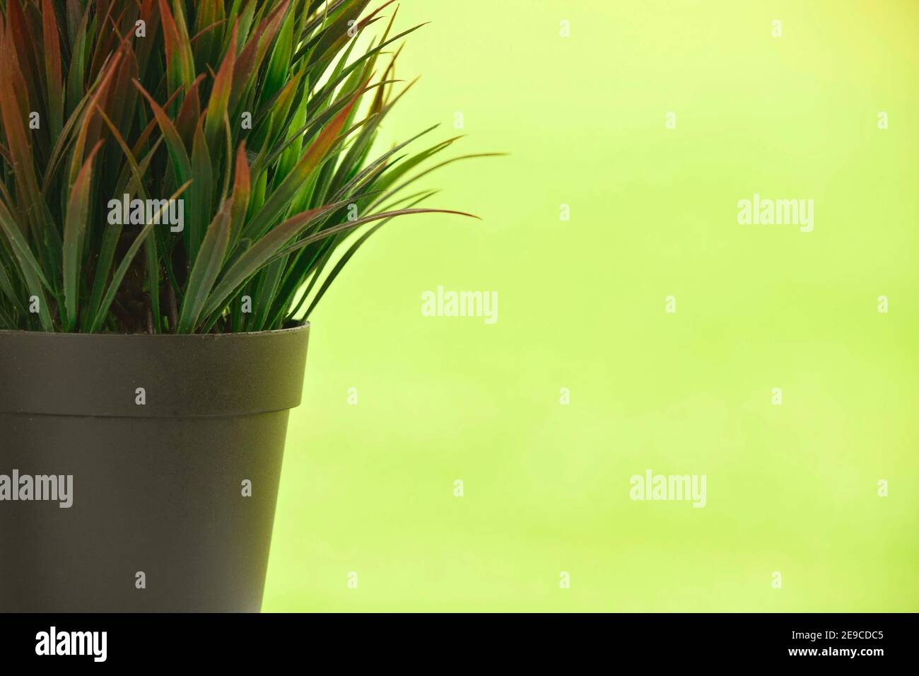 Fake background hi-res stock photography and images - Alamy