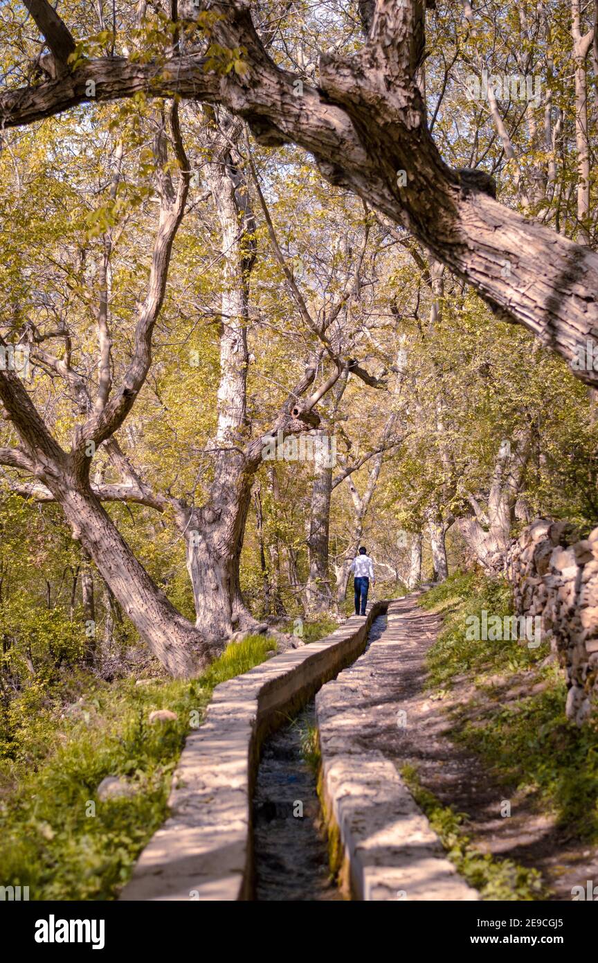 Byara hi-res stock photography and images - Alamy