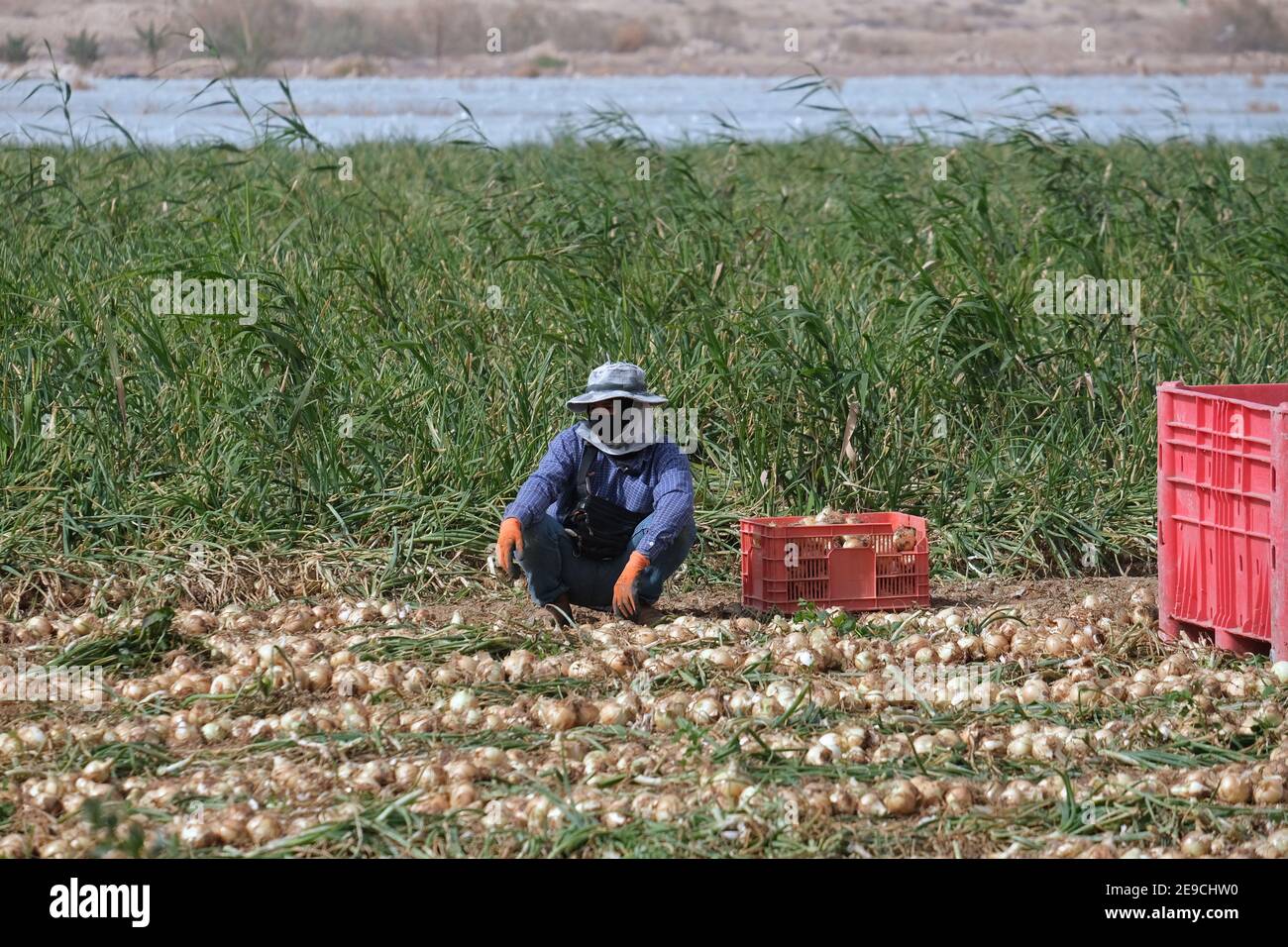Jordan thailand hi-res stock photography and images - Alamy