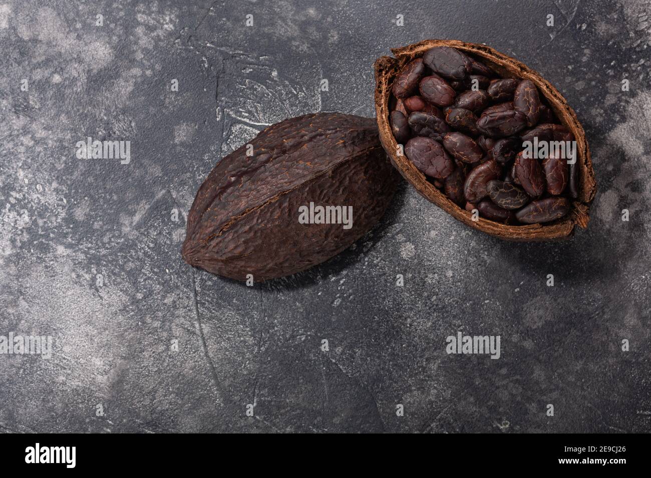 Split fermented cocoa pod with shelled cacao beans atop dark grey ...