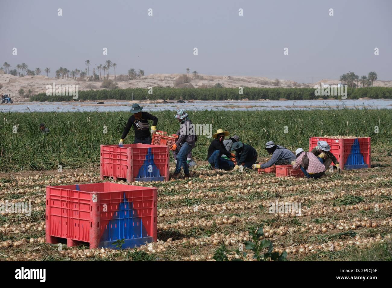 Jordan thailand hi-res stock photography and images - Alamy
