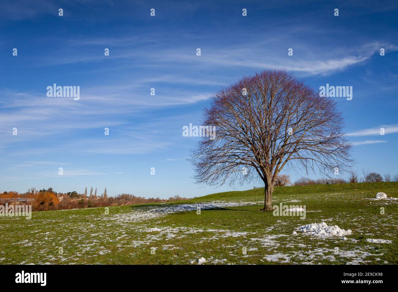 Showfield playground hi-res stock photography and images - Alamy