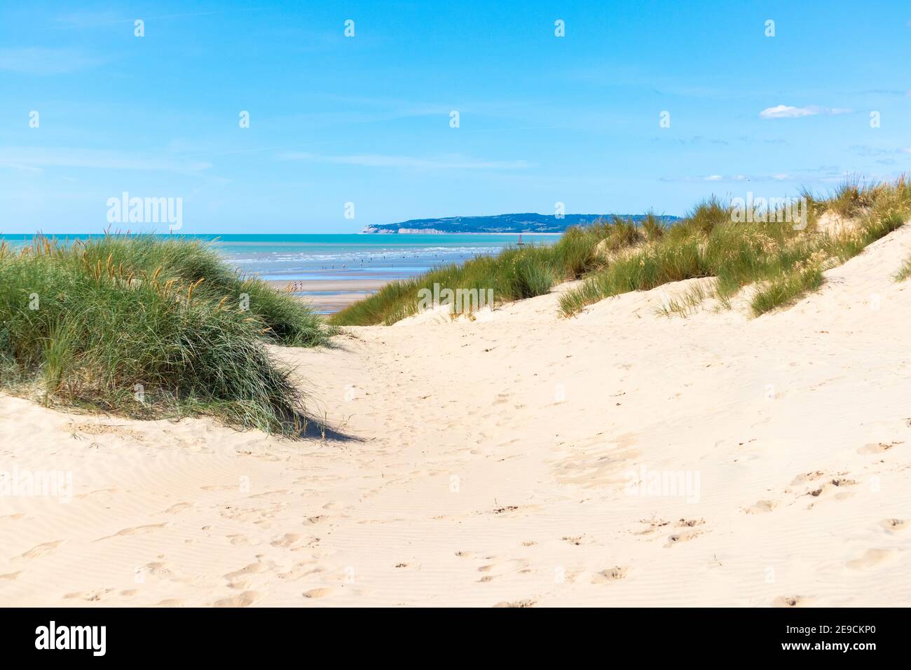 Camber sands, sand dunes, east sussex, uk Stock Photo - Alamy