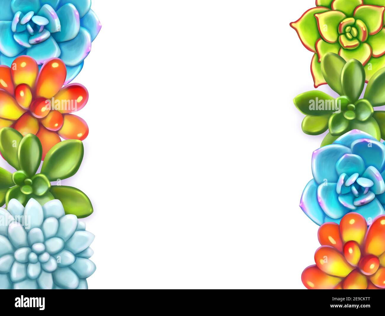 Floral Border. Succulents arranged un a shape of frame Stock Photo - Alamy
