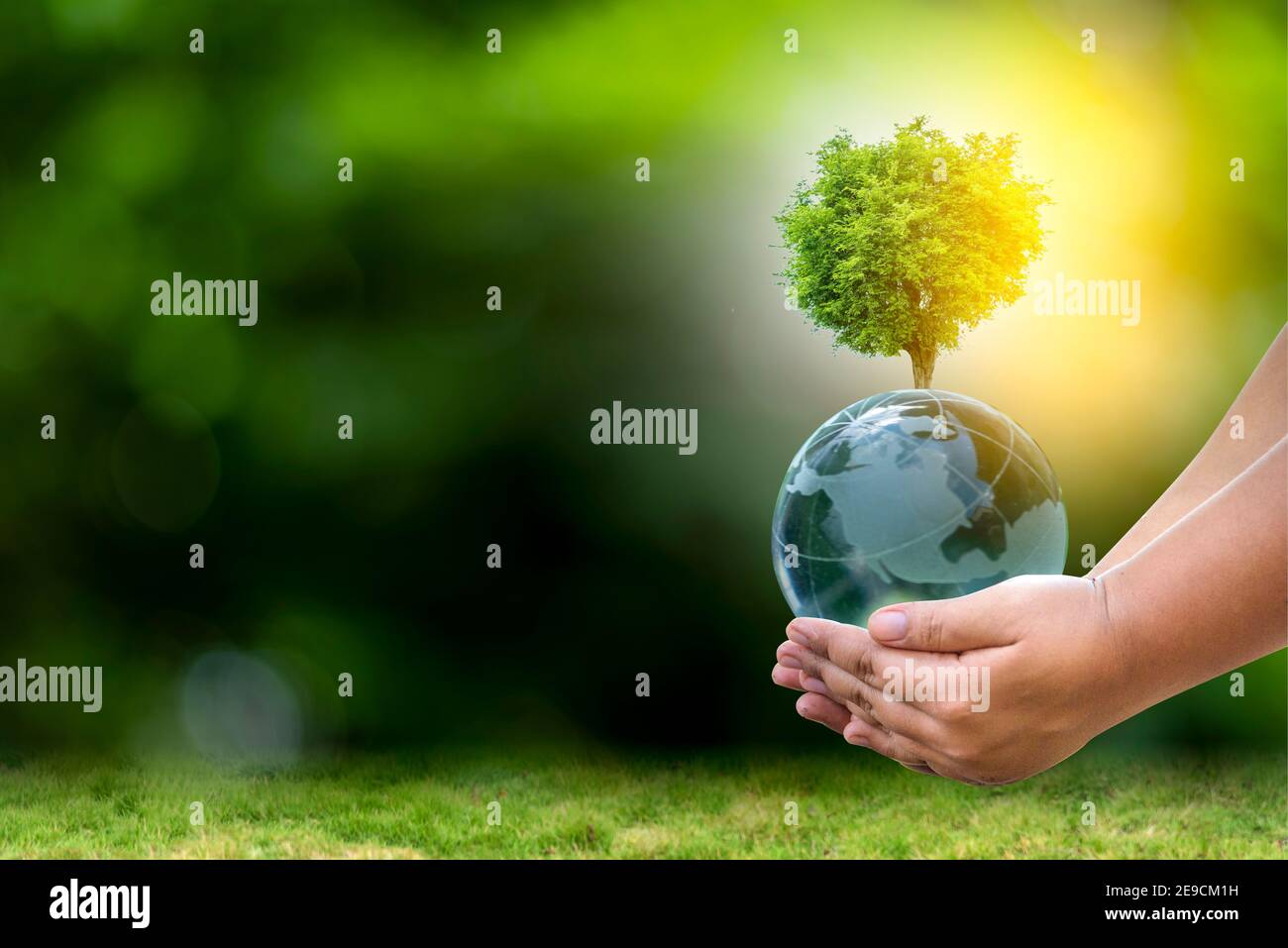 Renewable energy concept Earth Day or environment protection Hands ...