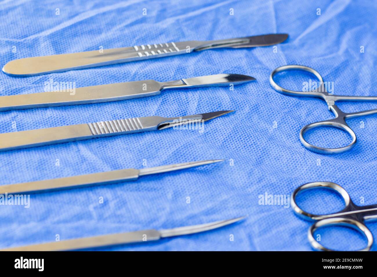 Closeup of stainless steel tools for medical students of anatomy Stock ...