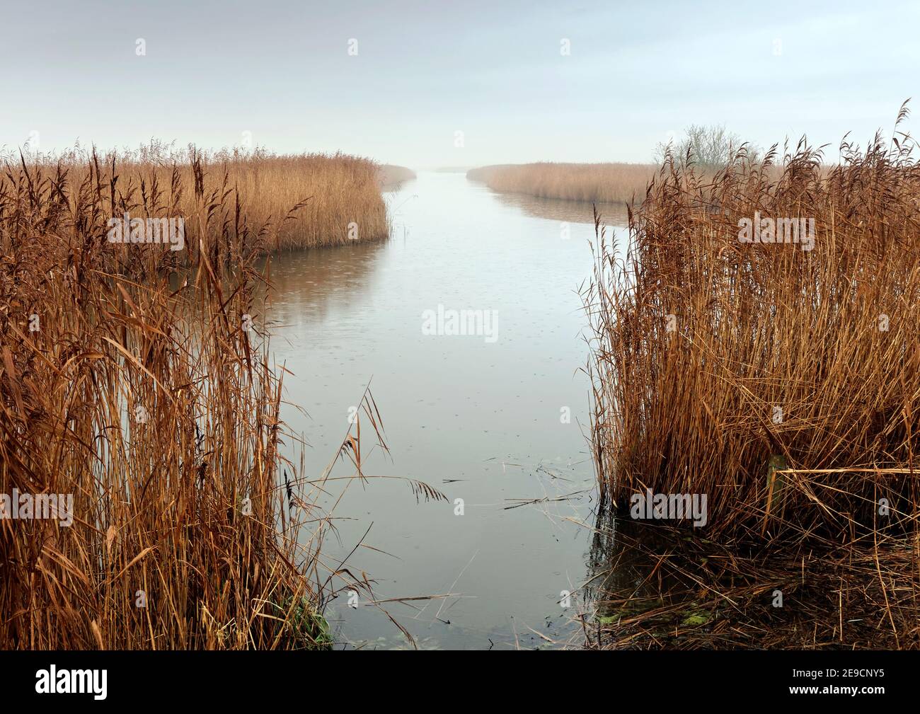 Winter view along the channel of the River Thurne as it passes through ...