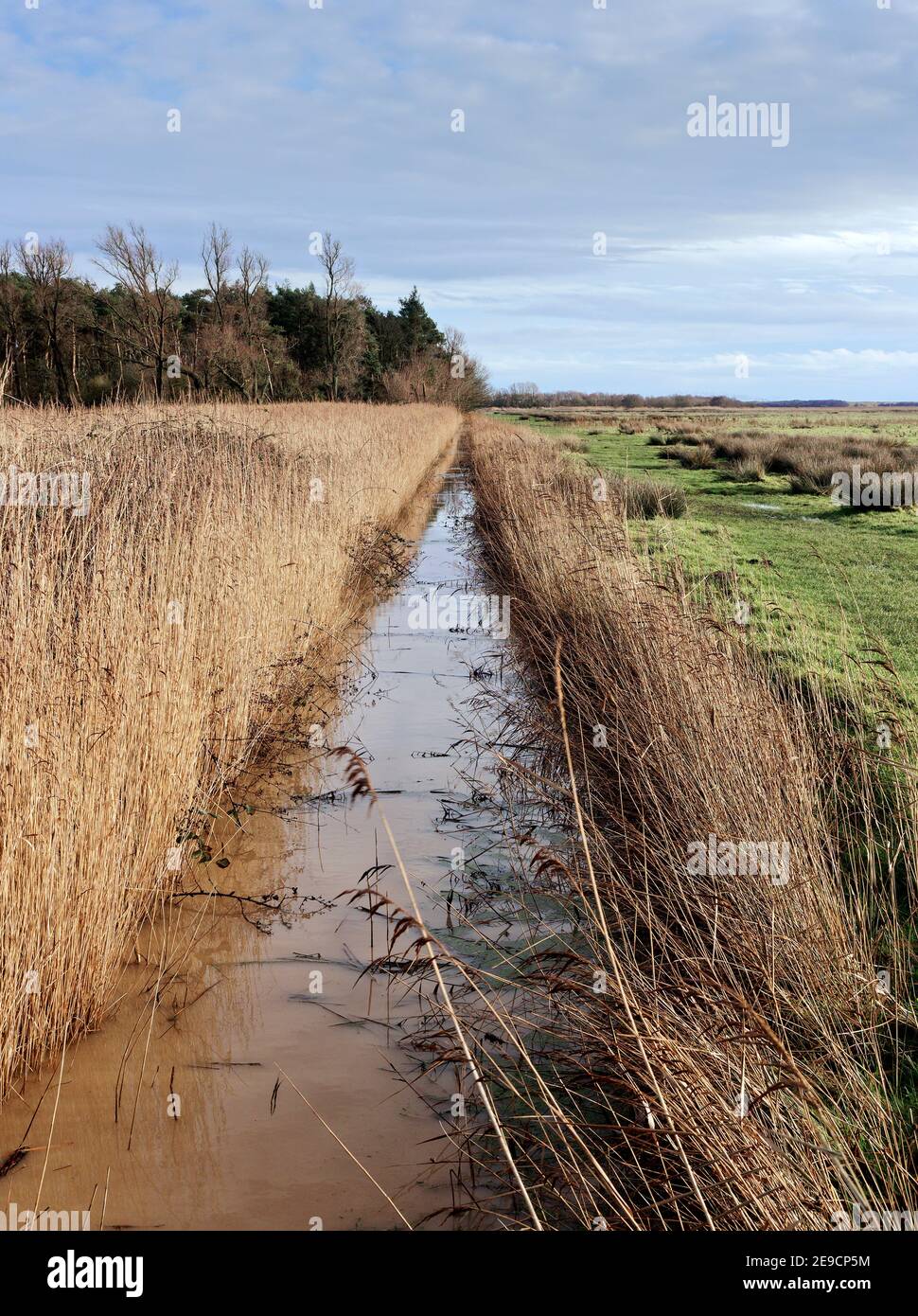 Drainage dyke hi-res stock photography and images - Alamy