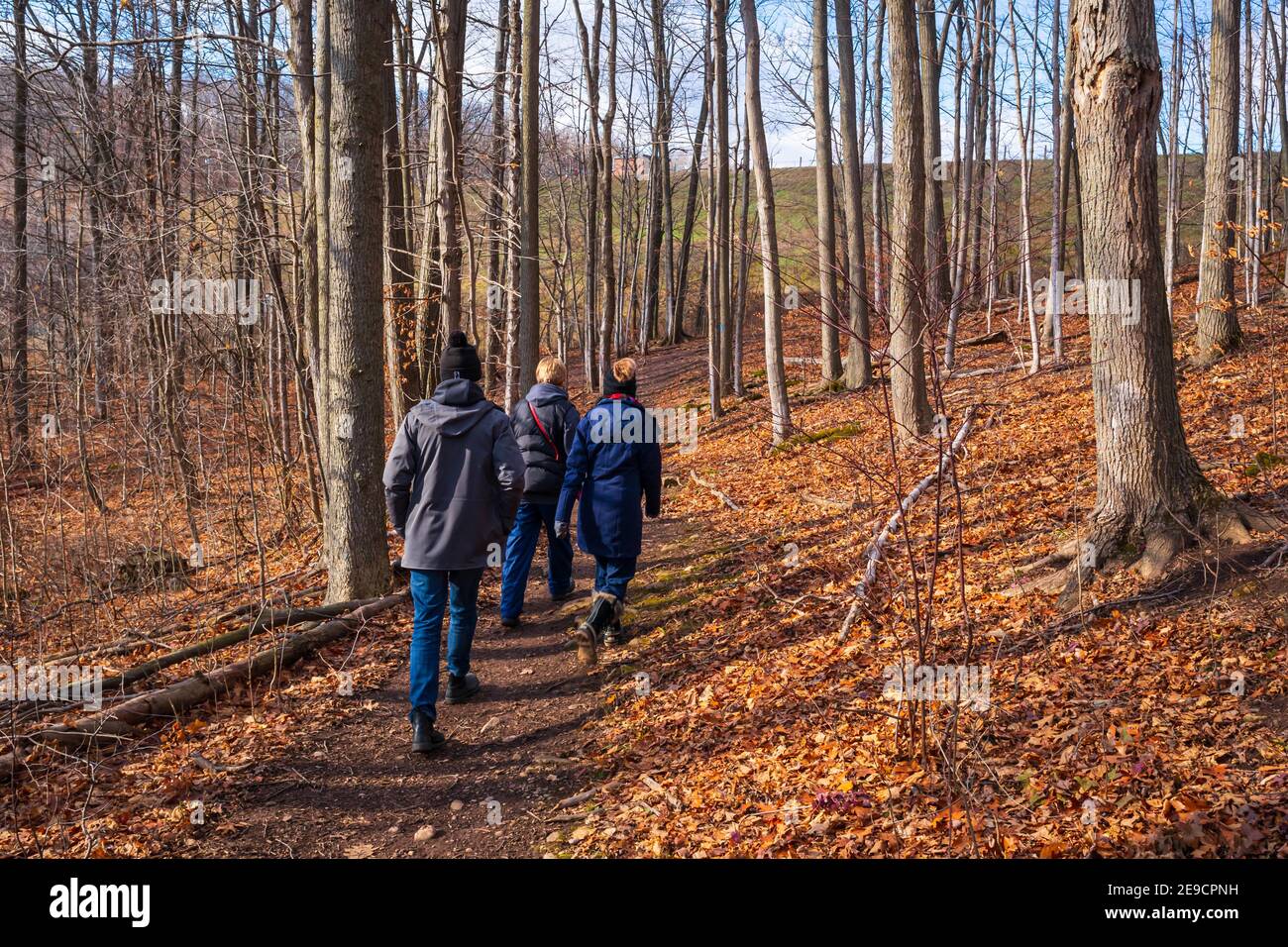 The shadows bruce hi-res stock photography and images - Alamy