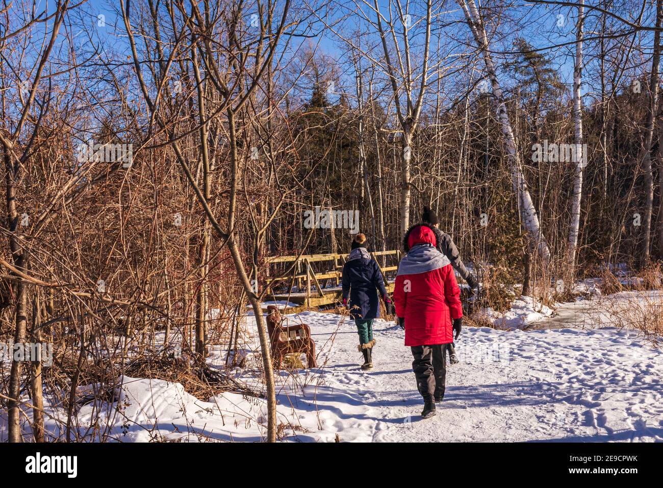 Mississauga winter hi-res stock photography and images - Alamy