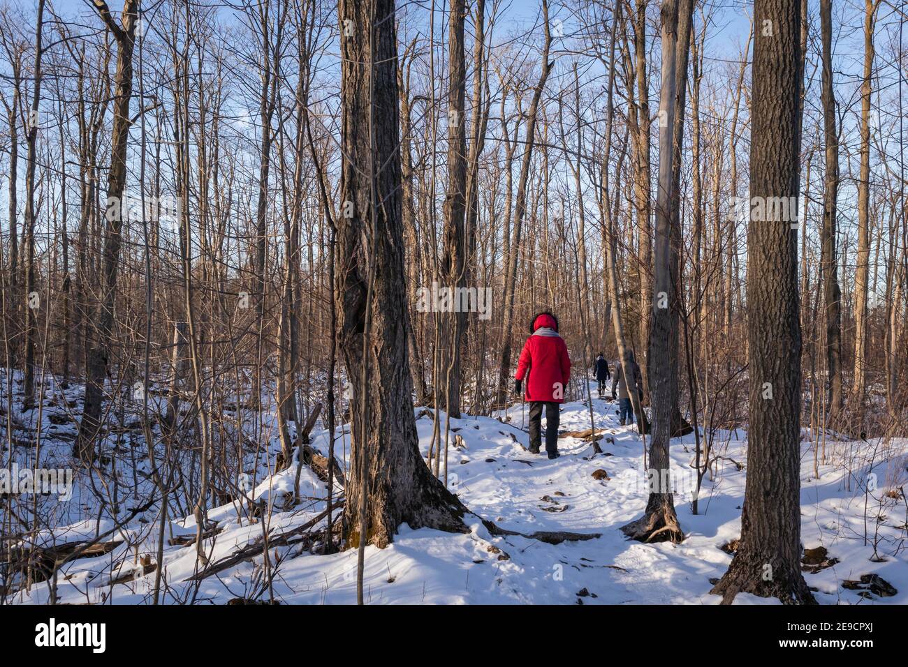 Pear Tree Park, Bruce Trail Stock Photo - Alamy