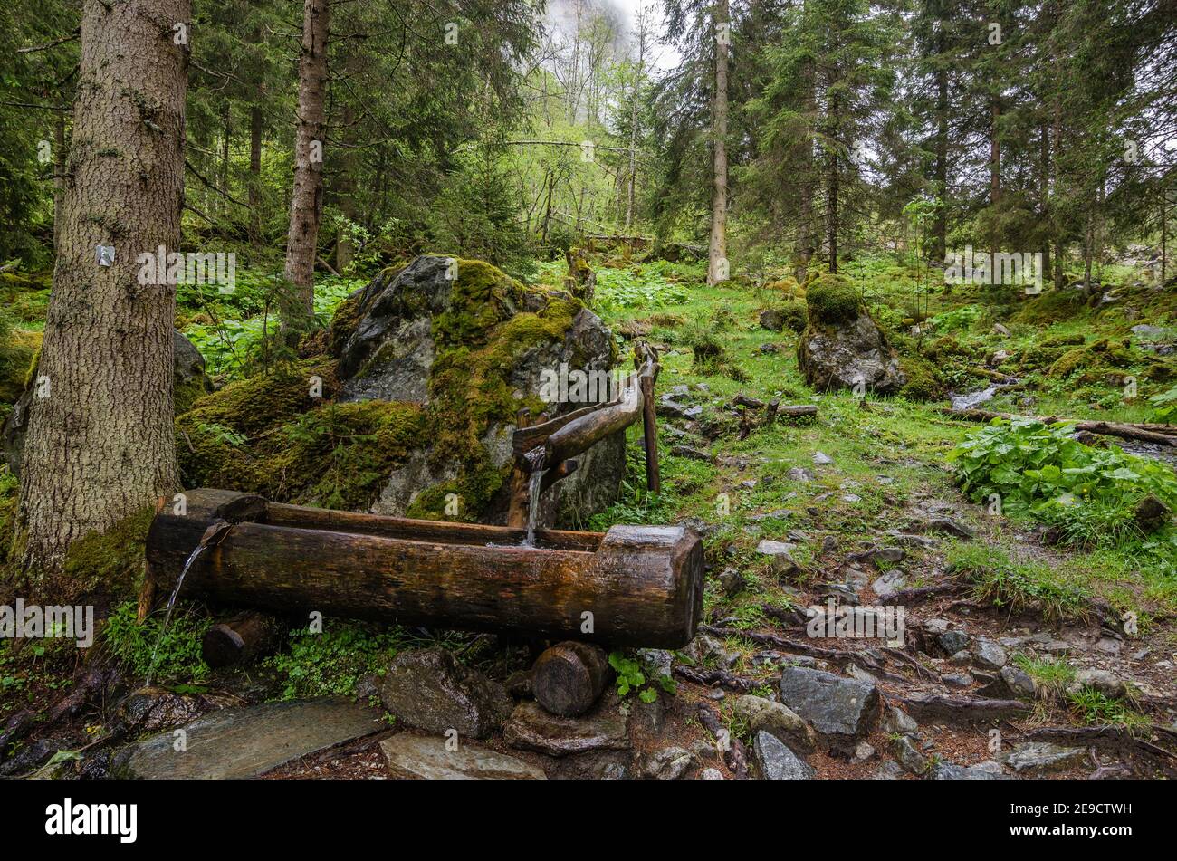 Beautiful sparkling in sun hi-res stock photography and images - Alamy