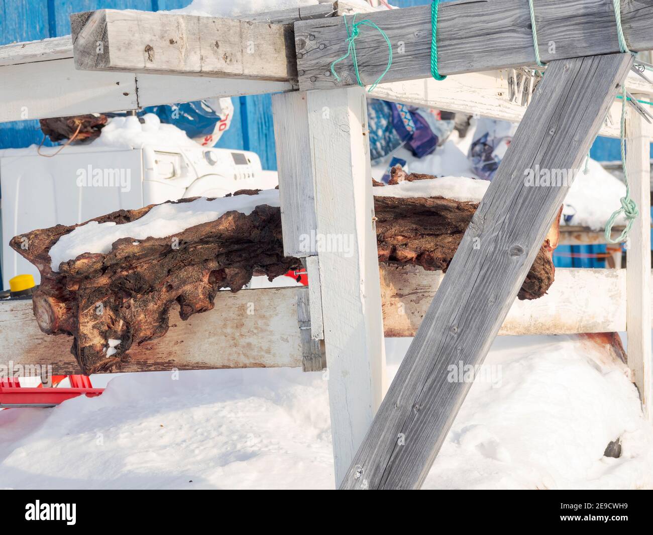 Frozen whale meat hi-res stock photography and images - Alamy