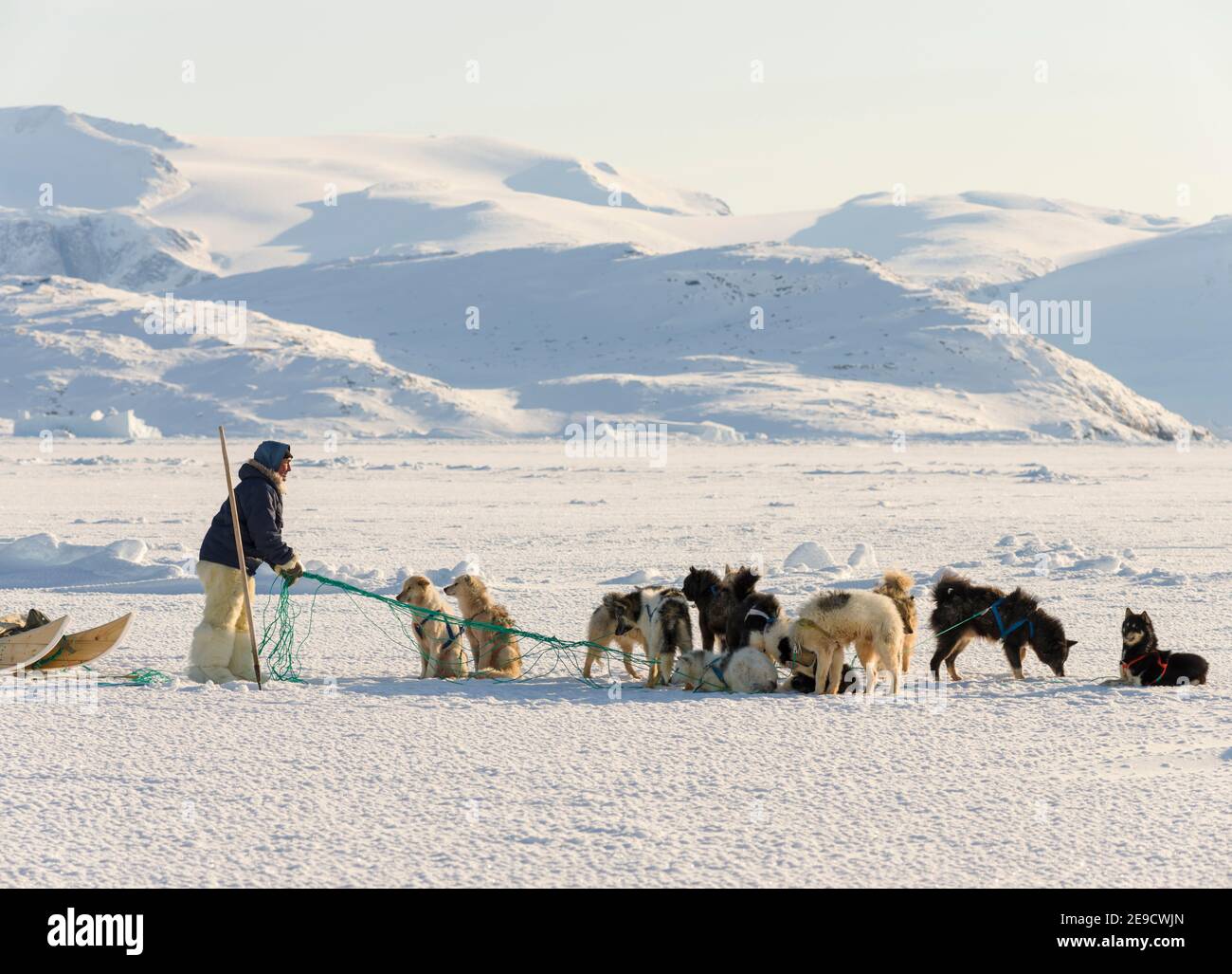 Inuit hunter wearing traditional trousers and boots made from polar ...