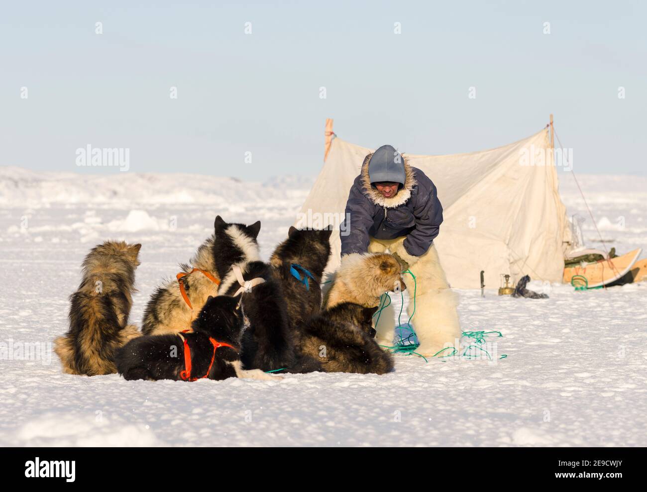 Greenland inuit, tent hi-res stock photography and images - Alamy
