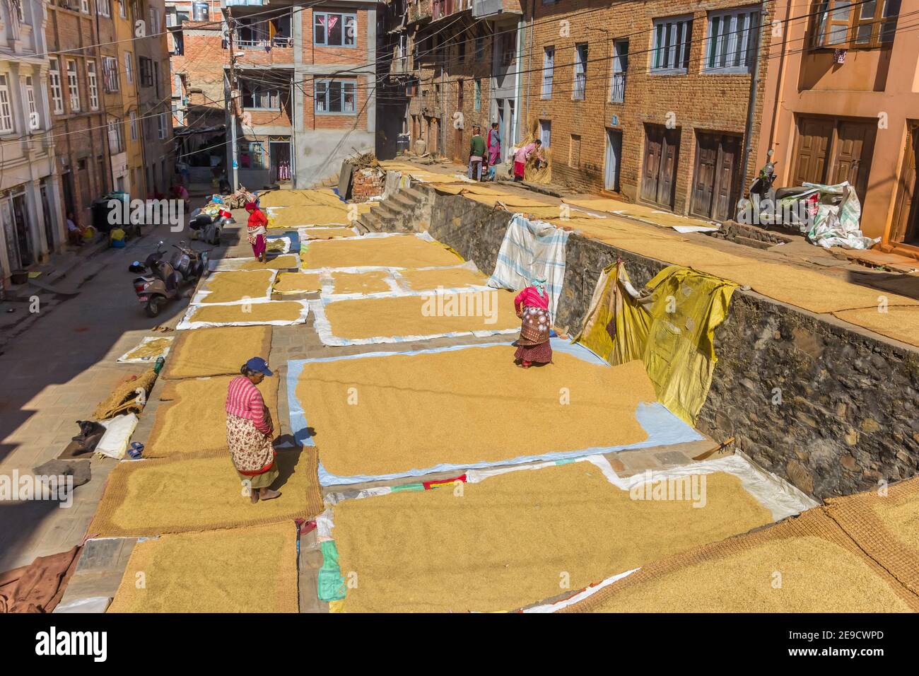 Women drying rice in front of their homes in Kirtipur, Nepal Stock ...