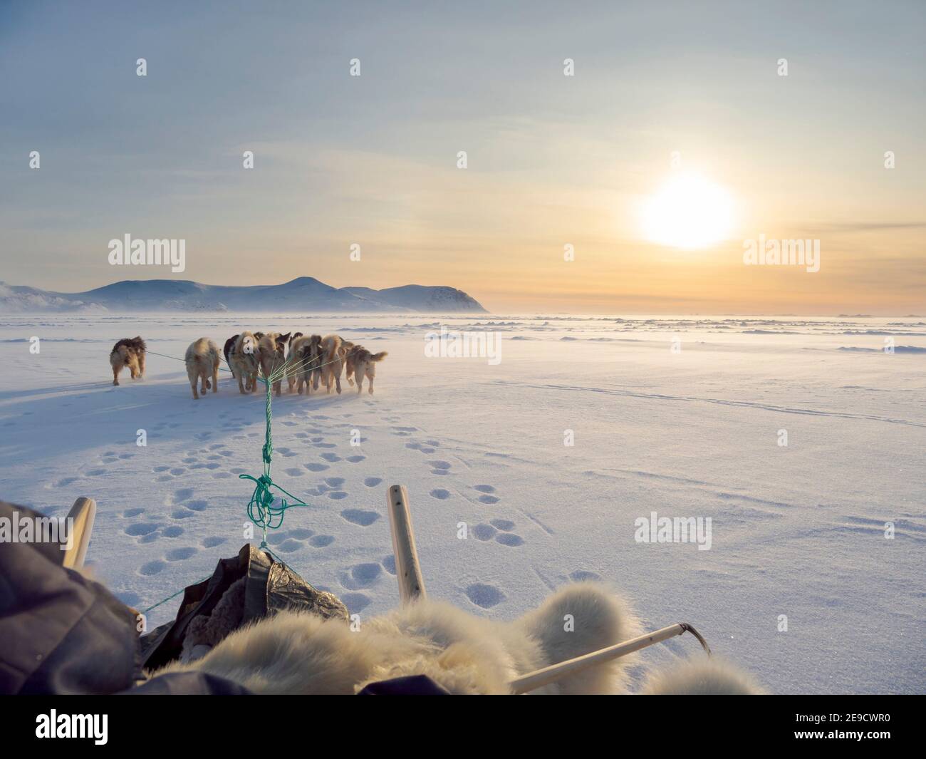 Inuit hunter on dog sled, wearing traditional trousers and boots made ...