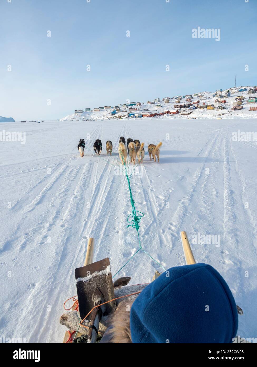Inuit snow sled hi-res stock photography and images - Alamy