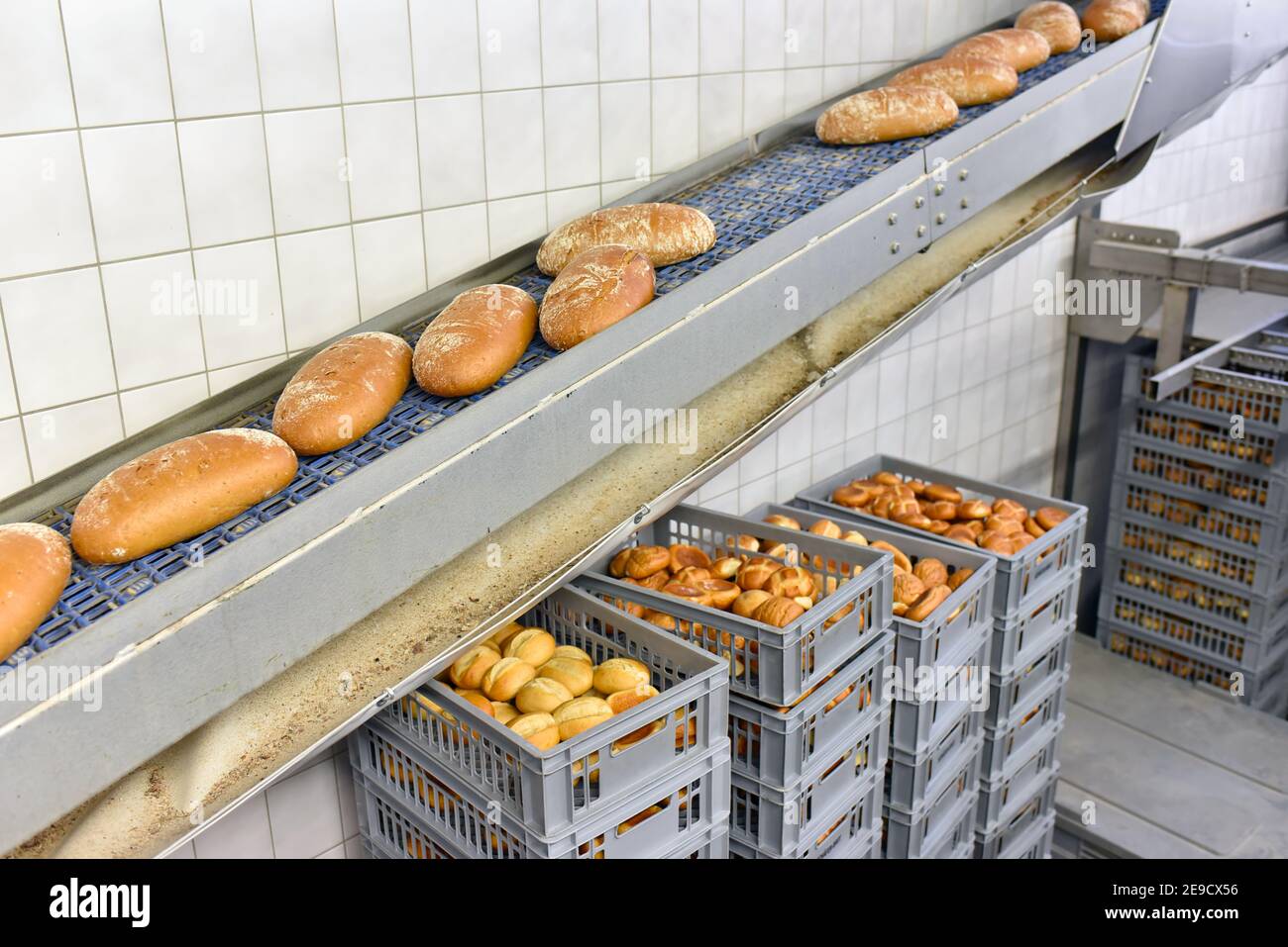 industrial production of bakery products on an assembly line ...