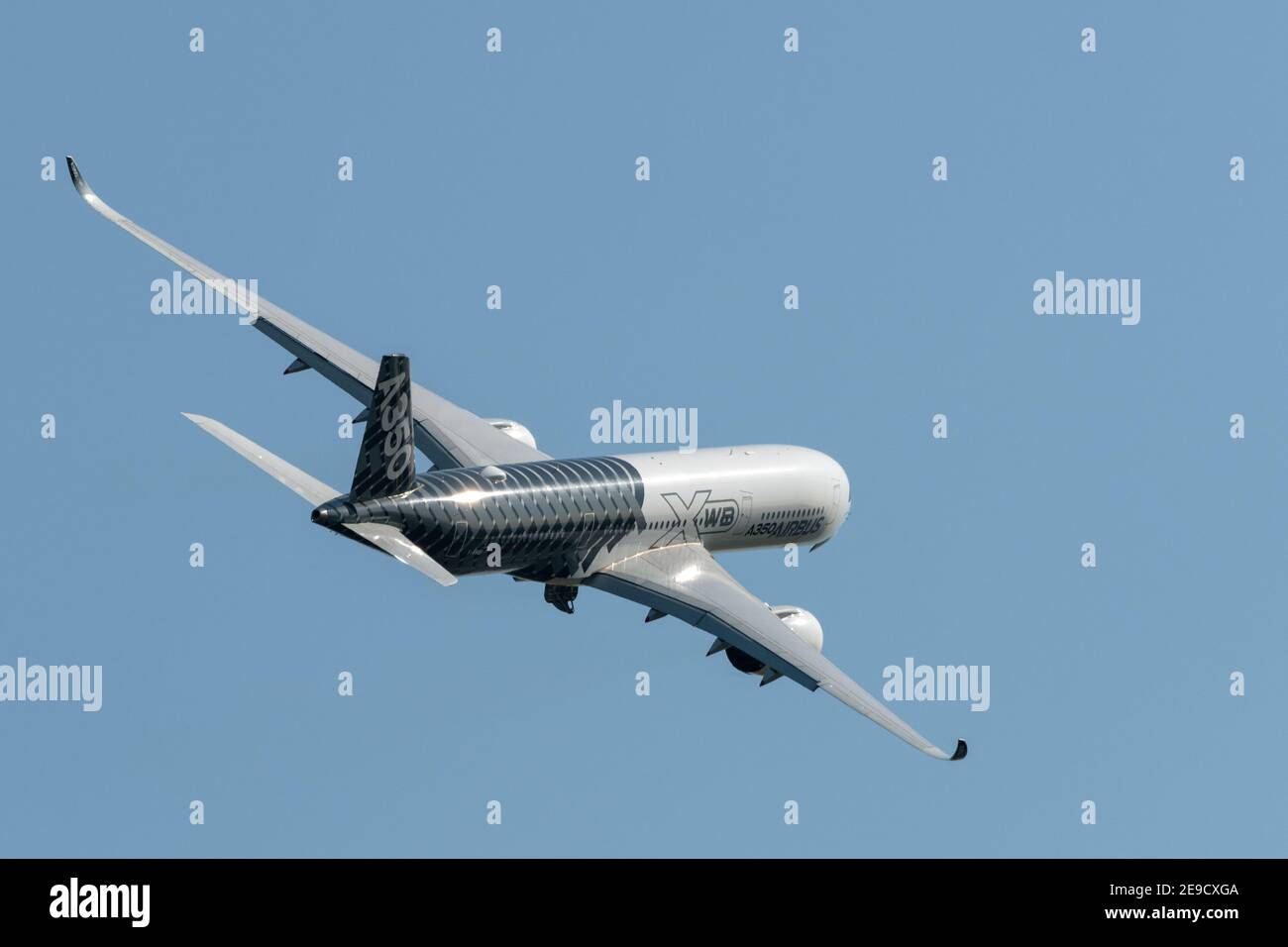 August 30, 2019. Zhukovsky, Russia. long-range wide-body twin-engine ...