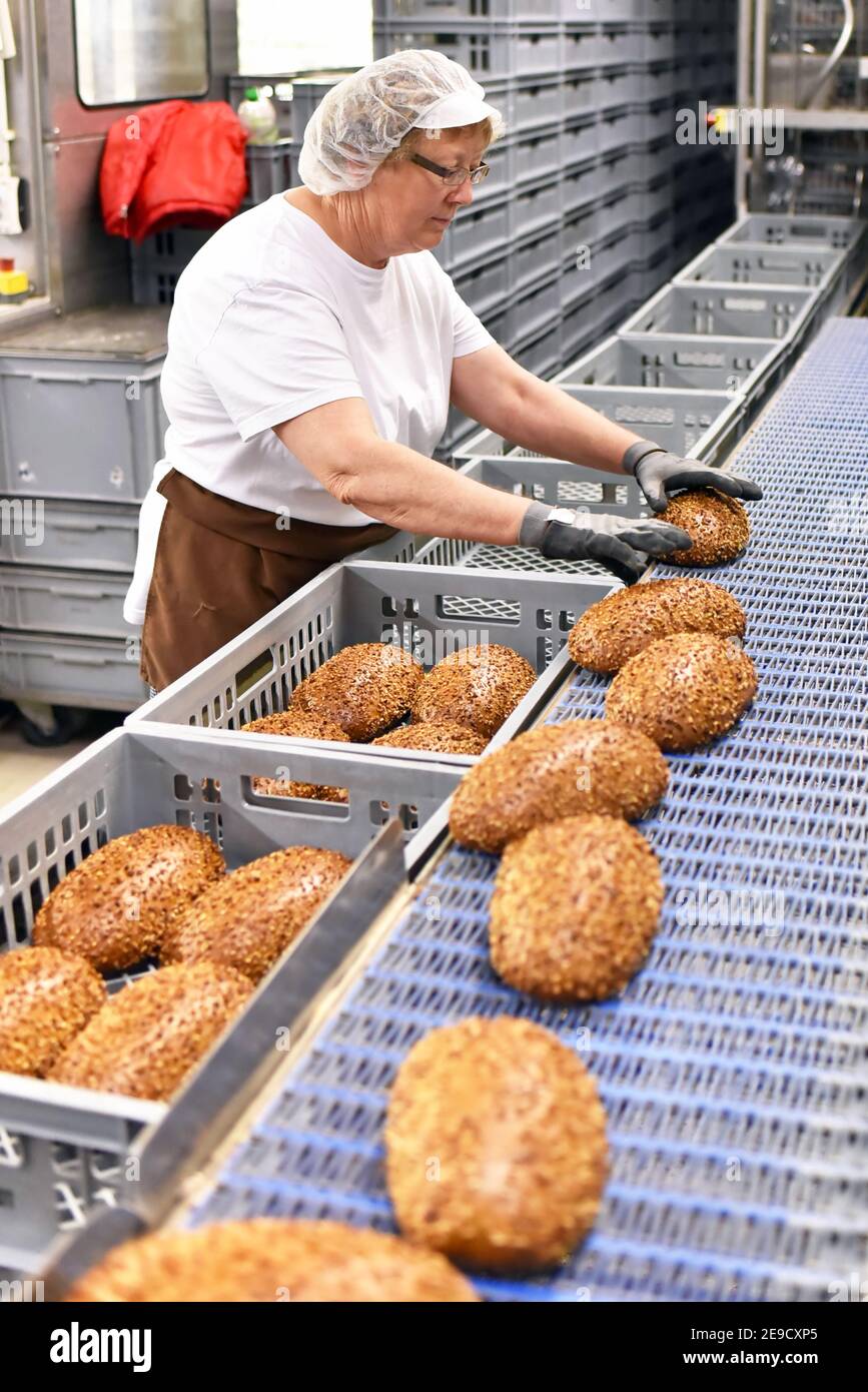 woman working in a large bakery - industrial production of bakery ...