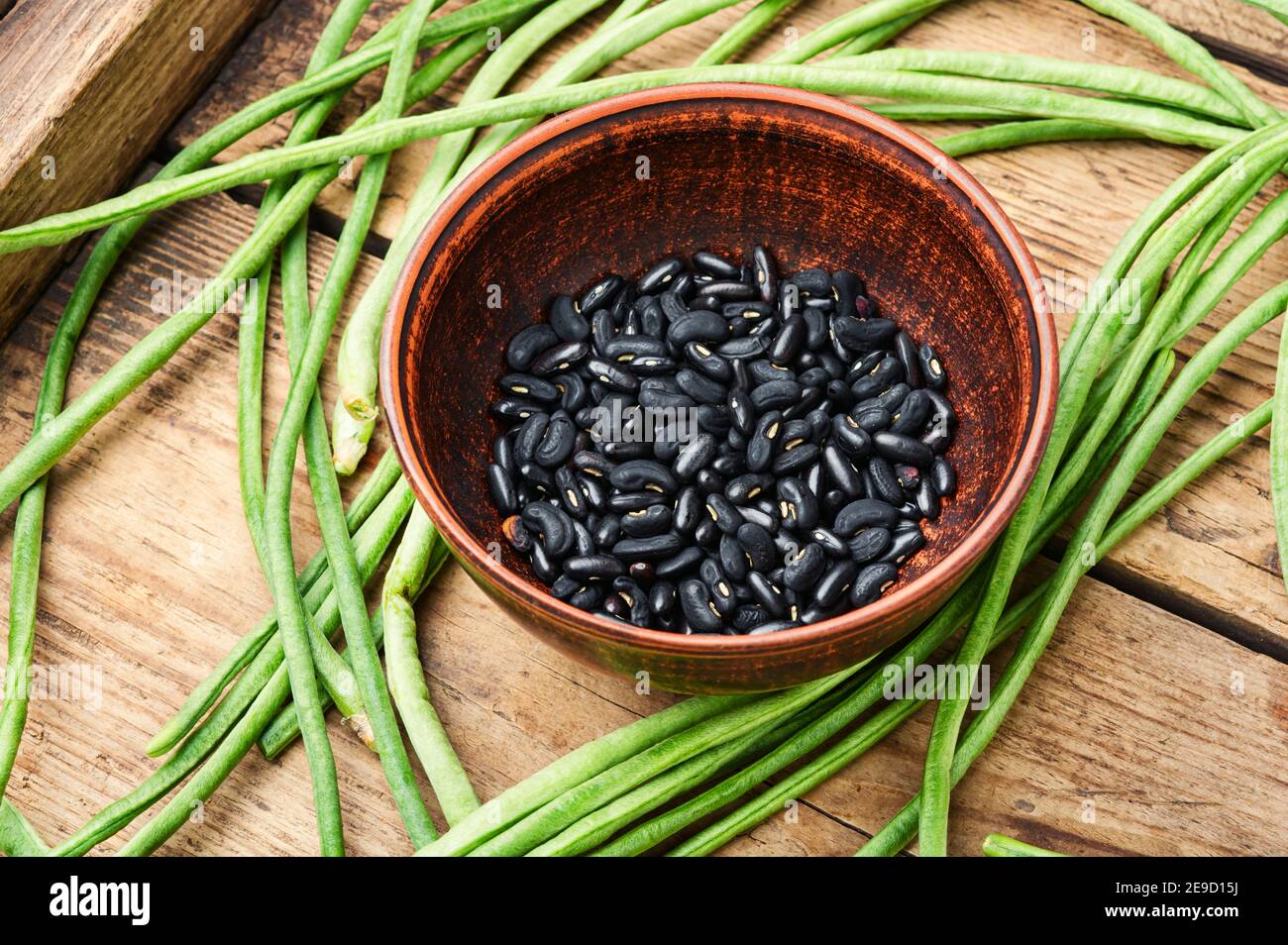 Vigna or cowpea pods and beans.Vegetable plant.Popular Chinese food ...