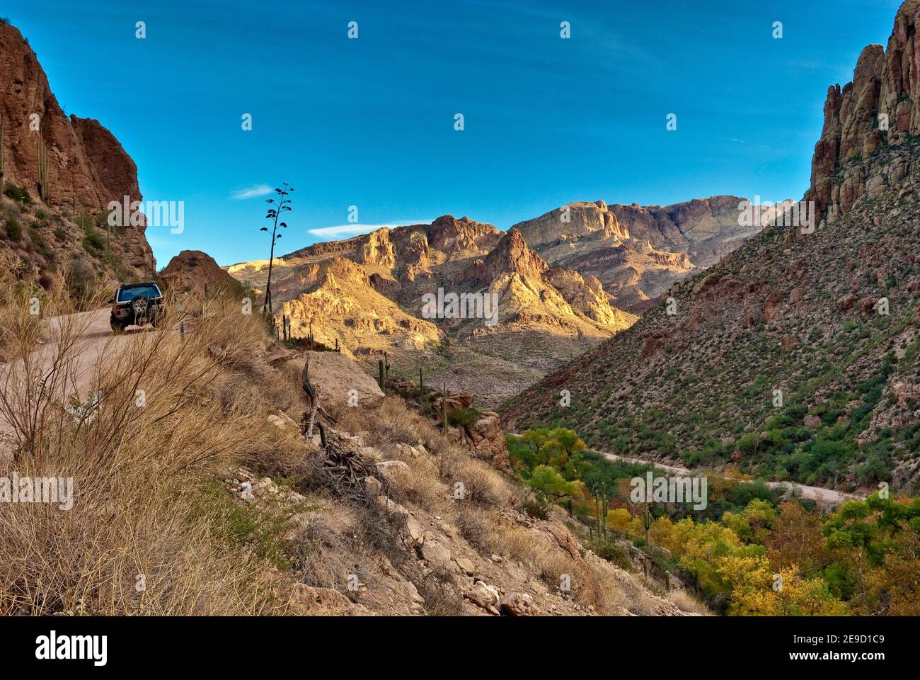Apache the horse hi-res stock photography and images - Alamy