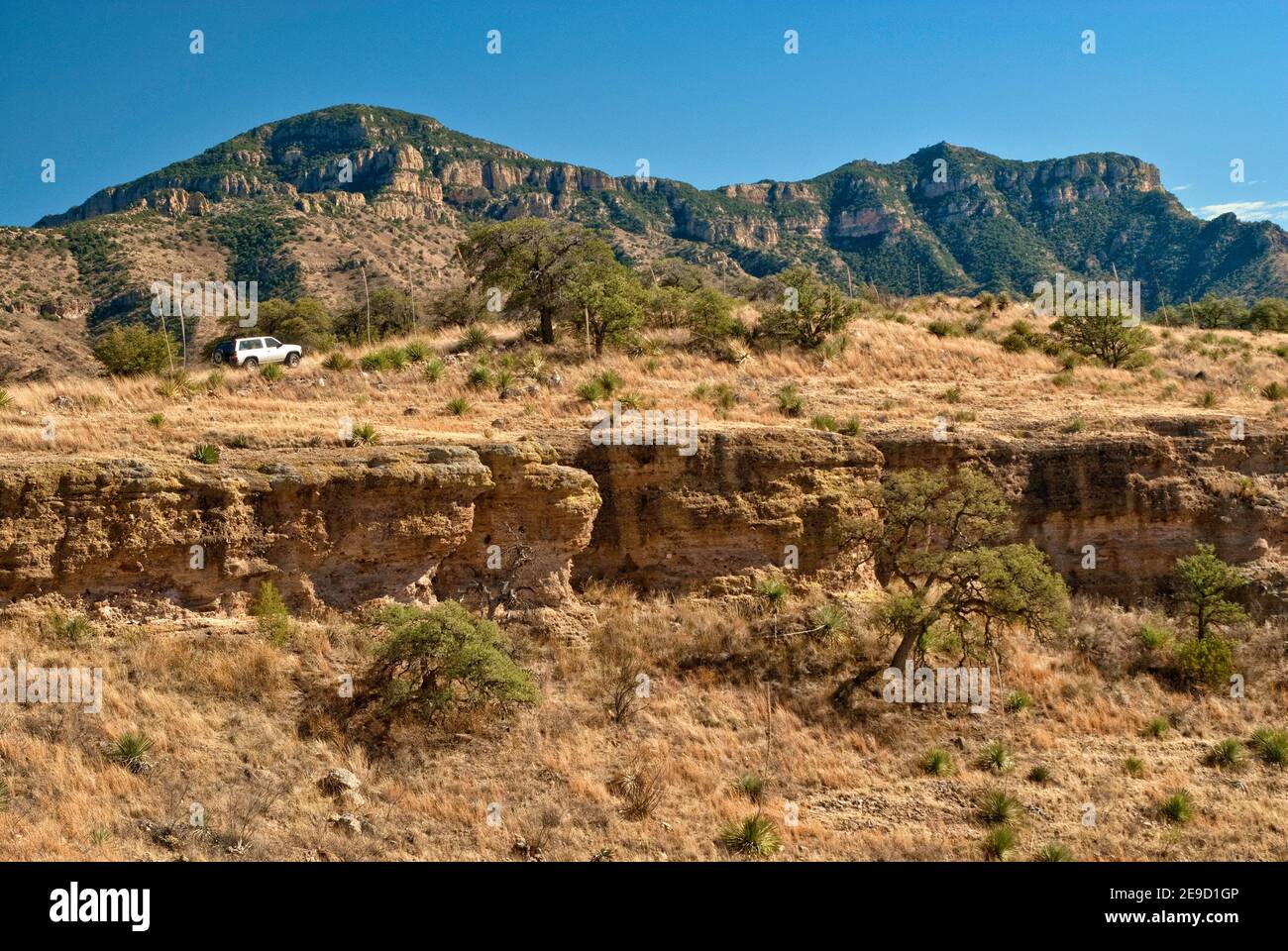 Atascosa Mountains in Sonoran Desert from Ruby Road near Mexican border ...