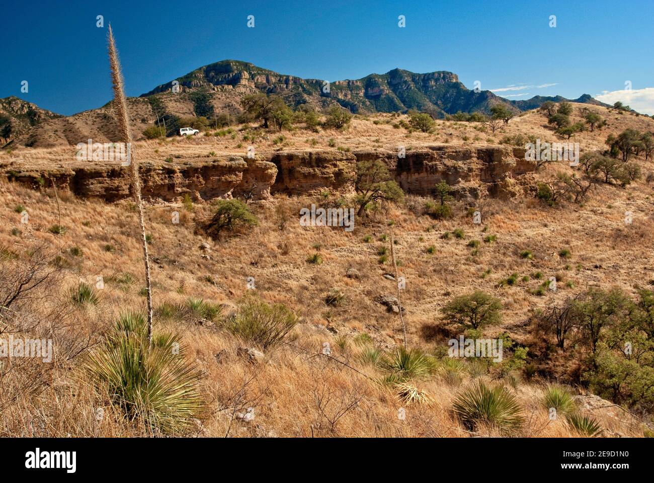 Atascosa Mountains in Sonoran Desert from Ruby Road near Mexican border ...
