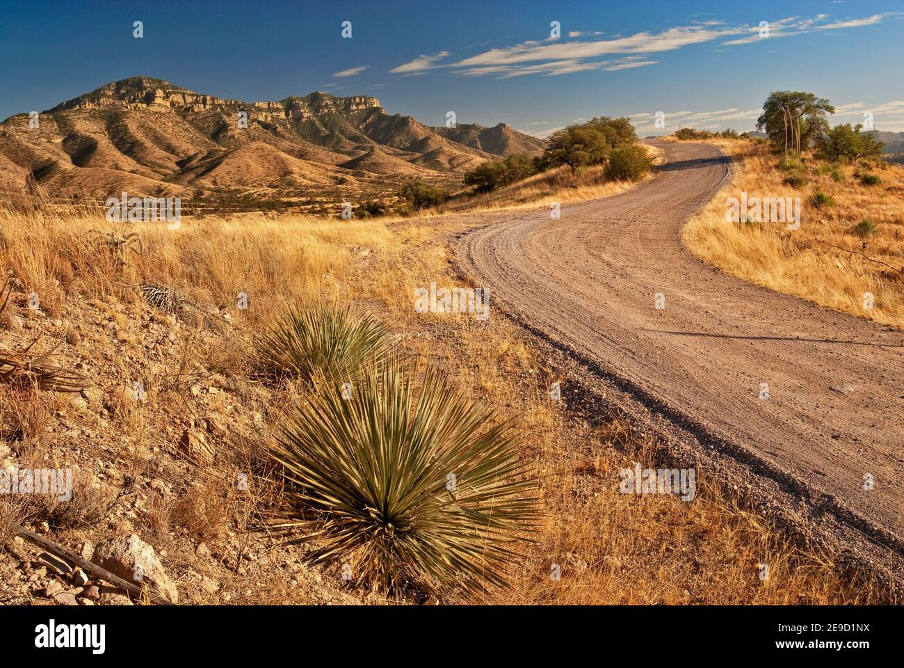 Ruby Road in Atascosa Mountains, Sonoran Desert, near Mexican border ...