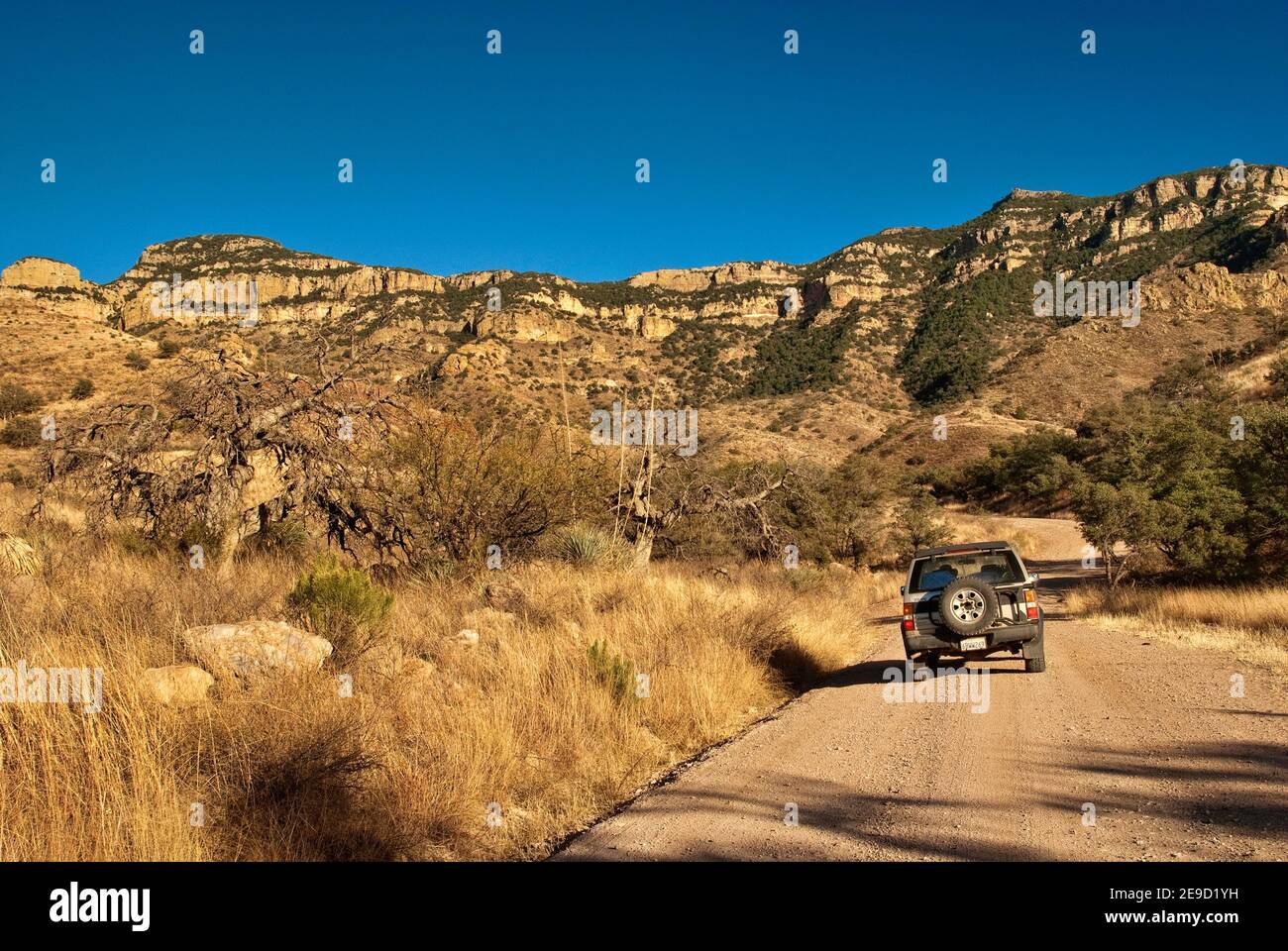 4WD vehicle at Ruby Road in Atascosa Mountains, Sonoran Desert near ...