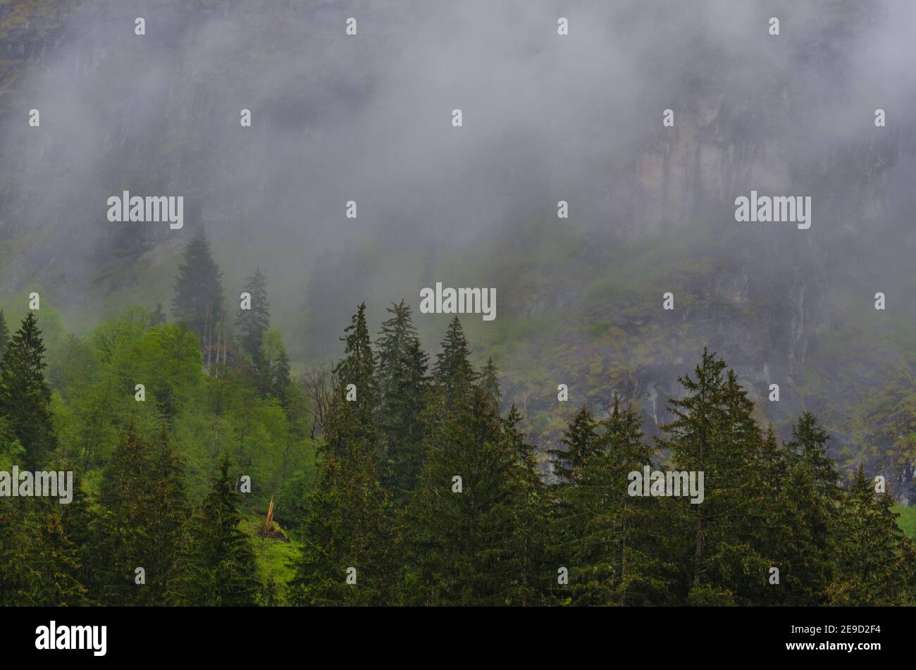 Hiking in dense fog hi-res stock photography and images - Alamy