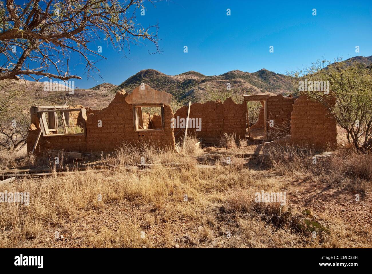 Ruined house at mining ghost town of Ruby in Atascosa Mountains near ...