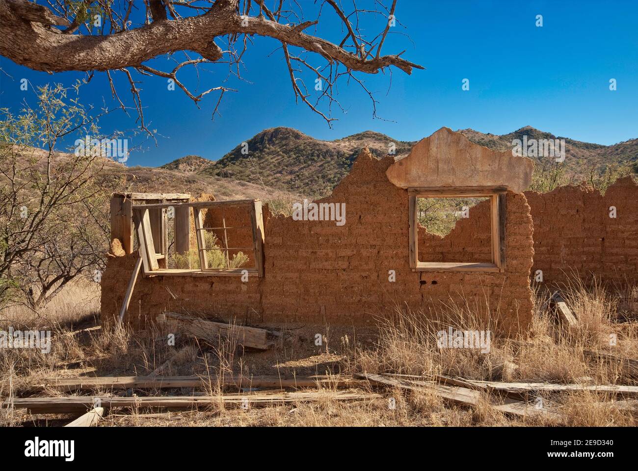 Ruined house at mining ghost town of Ruby in Atascosa Mountains near ...