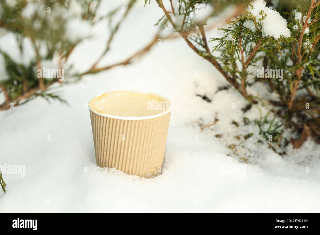 Paper cup with coffee outdoor in winter Stock Photo - Alamy